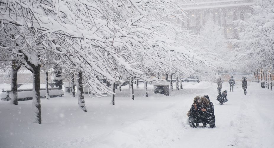 Snowed In - The Statesman