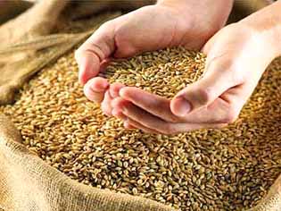 Food for votes - The Statesman