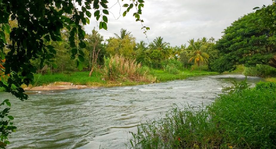 Where the water rolls - The Statesman