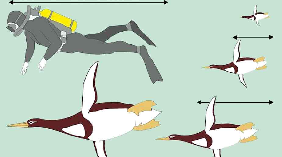 Giant ancestor found - The Statesman