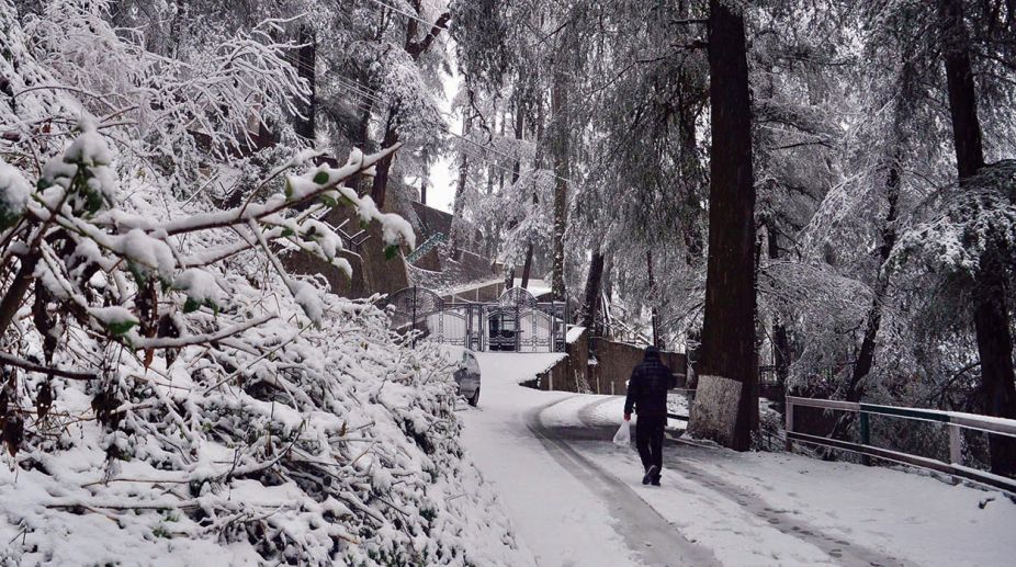 More snow in Shimla, Manali; vehicular traffic hampered - The Statesman