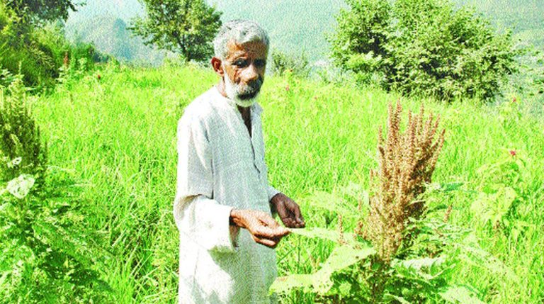 A battle to preserve seeds - The Statesman