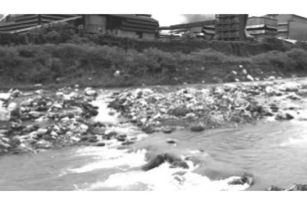 SC PIL against pollution due to Bhutan industry - The Statesman