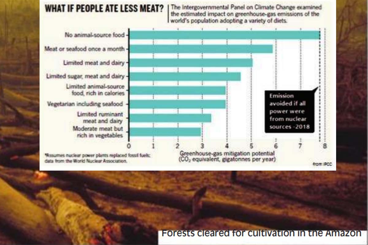 Go vegetarian to save Earth - The Statesman