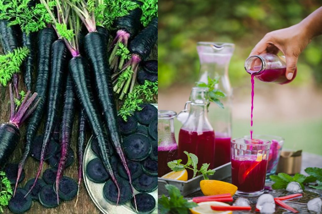 Kaali Gajar: Magical vegetable filled with hundreds of benefits - The ...