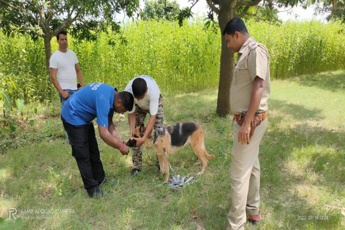 Malda Bomb Blast Four Arrested The Statesman
