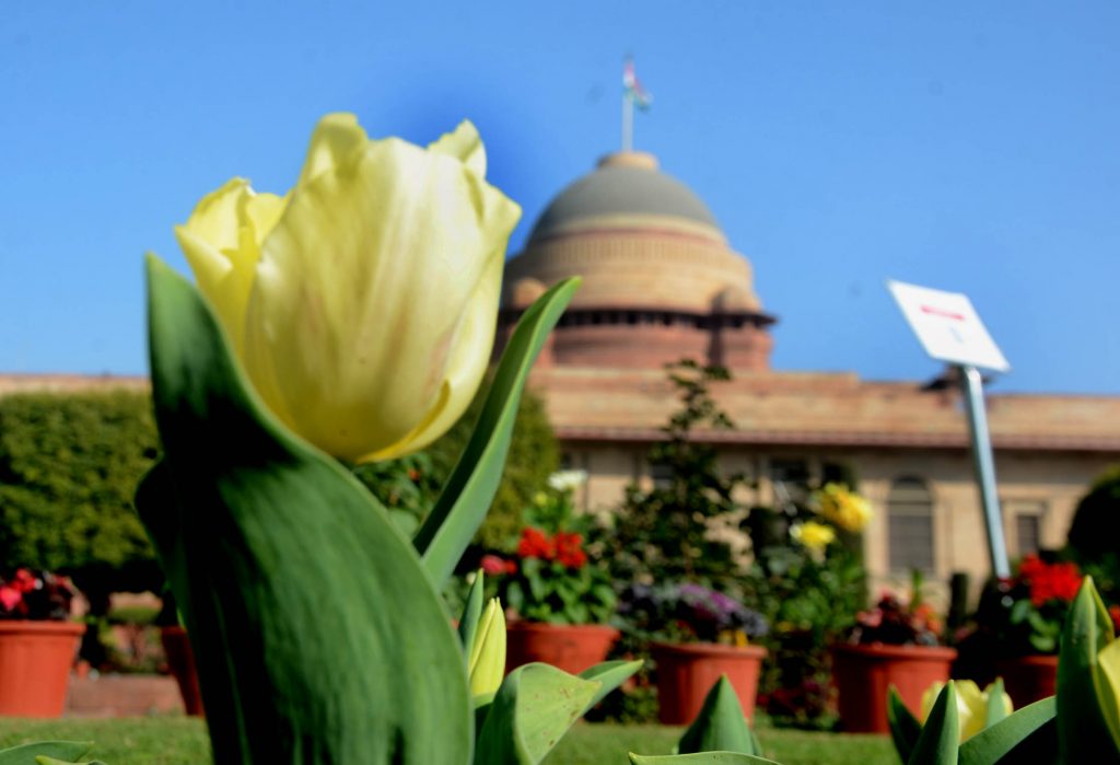 The newly-renamed AMRIT UDYAN opened for the general public